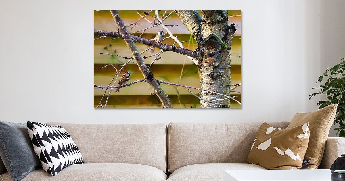 musjes in de rij voor de pindakaas van Miny'S op canvas, behang en meer