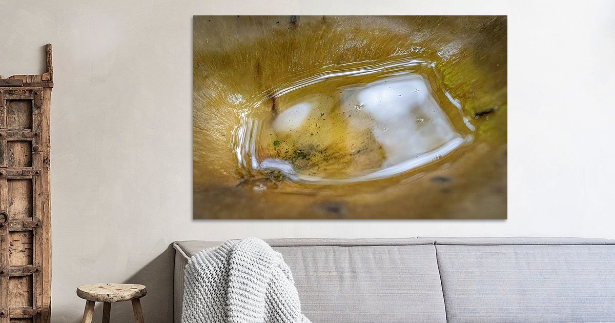 Waterplas op paddenstoel 2 van Reinder Tasma op canvas, behang en meer