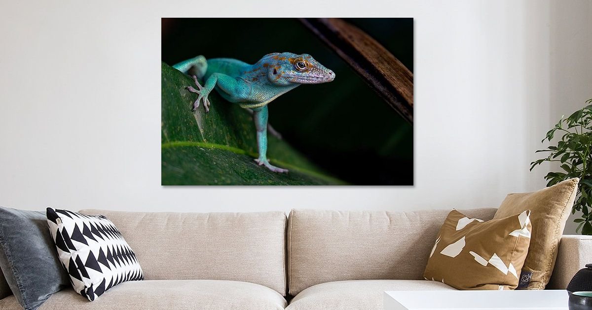 Reptiel in de zoo van Aandenken in Beeld op canvas, behang en meer