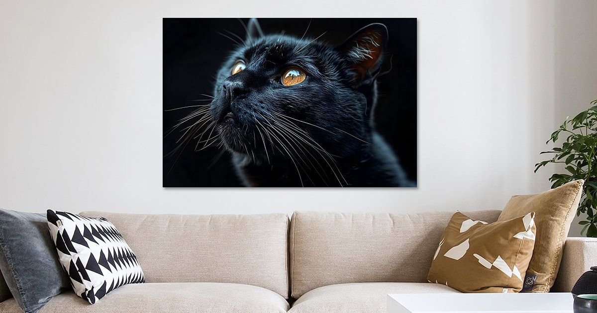 zwarte kat van PixelPrestige op canvas, behang en meer