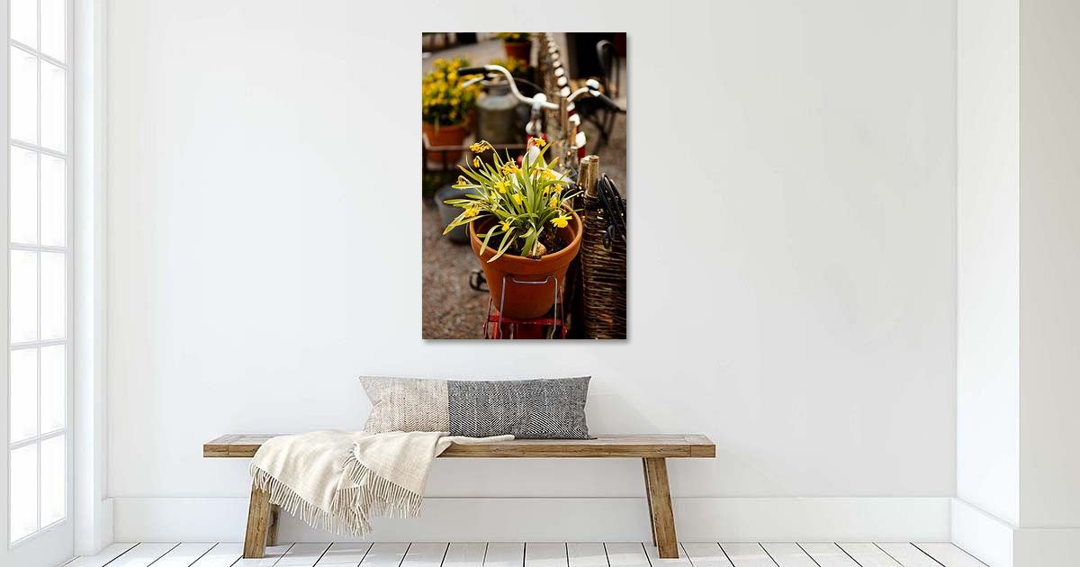 Gele voorjaarsbloemen op vintage fiets — terracotta pot van ...
