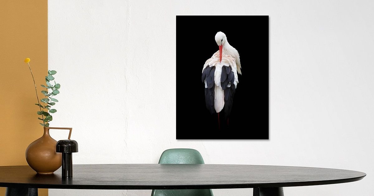 Ooievaar, beeldschone brenger van geluk van Marjon Woudboer op canvas ...