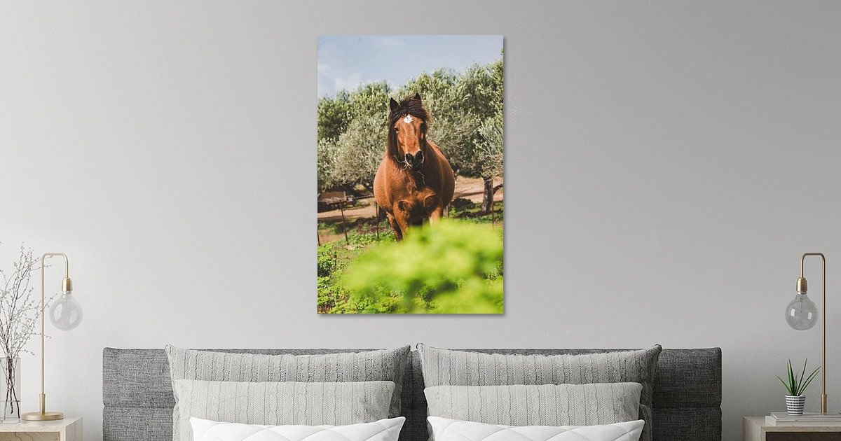 Bruin paard in de olijfgaard van Michelle Tober op canvas, behang en meer