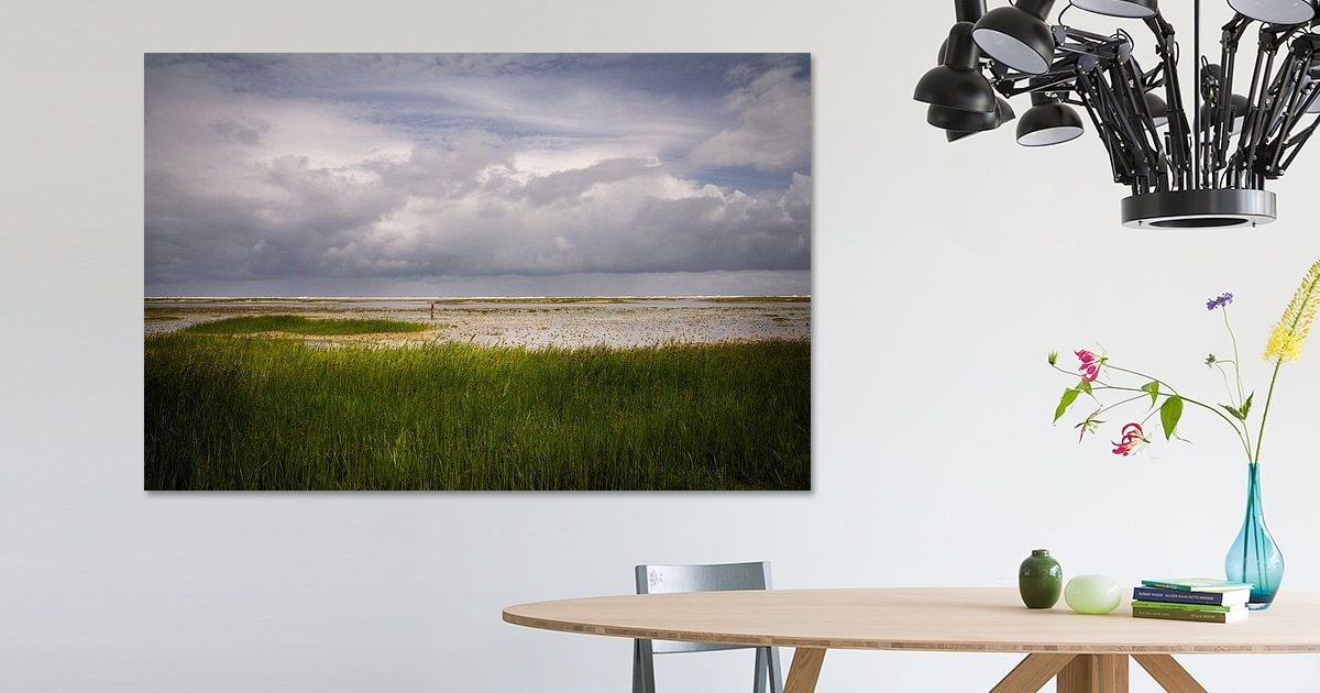 Het Groene Strand van Ballum op Ameland van Bo Scheeringa Photography ...