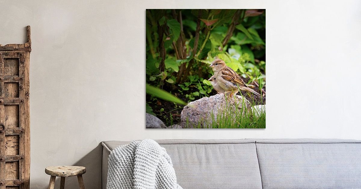 twee musjes op een steen van Miny'S op canvas, behang en meer