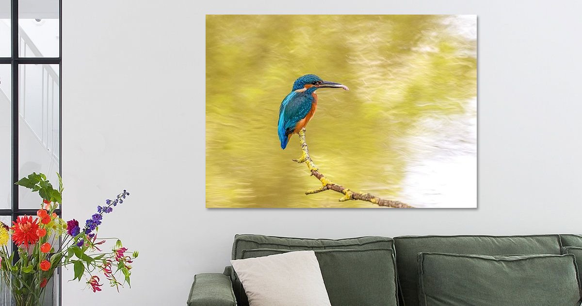 Gotcha! van Robert Kok op canvas, behang en meer