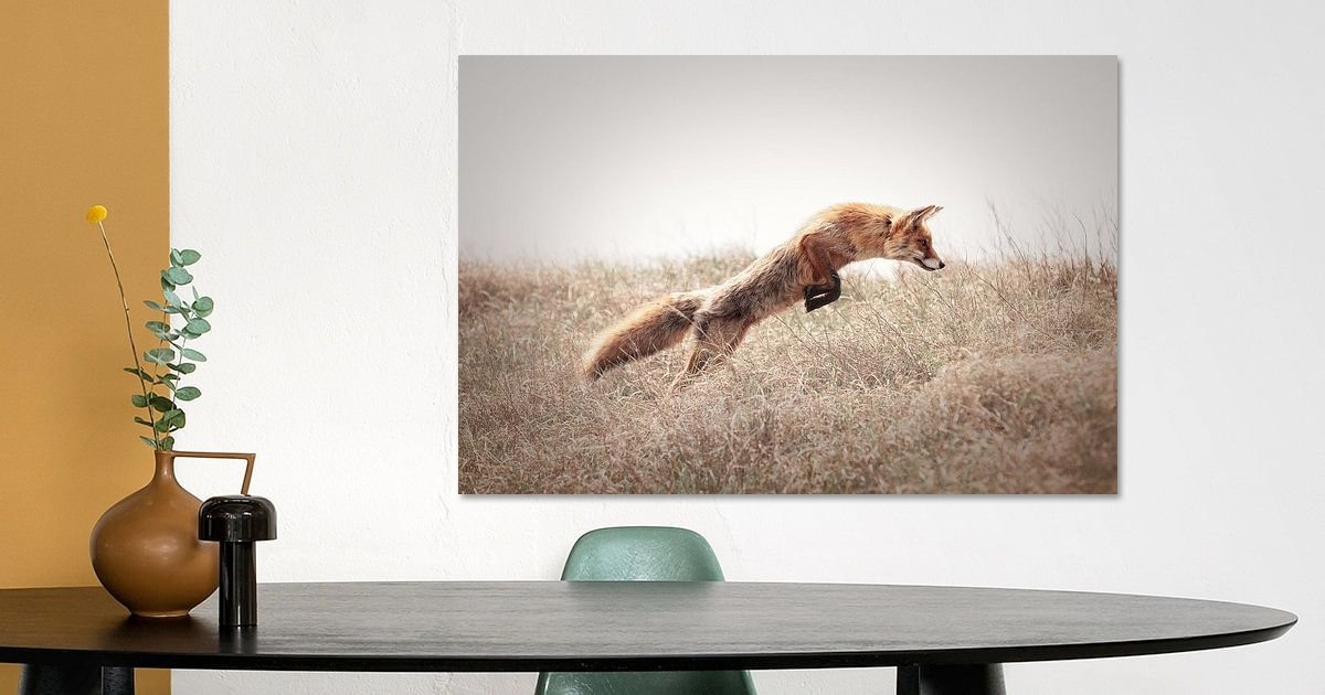Rode vos op jacht | natuurfotografie | wildlife van Laura Dijkslag op ...
