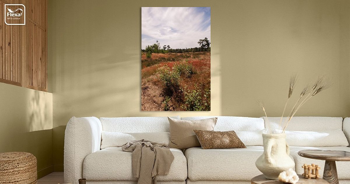 Rode Heide vroege zomer Loonse en Drunense Duinen van Deborah de Meijer ...