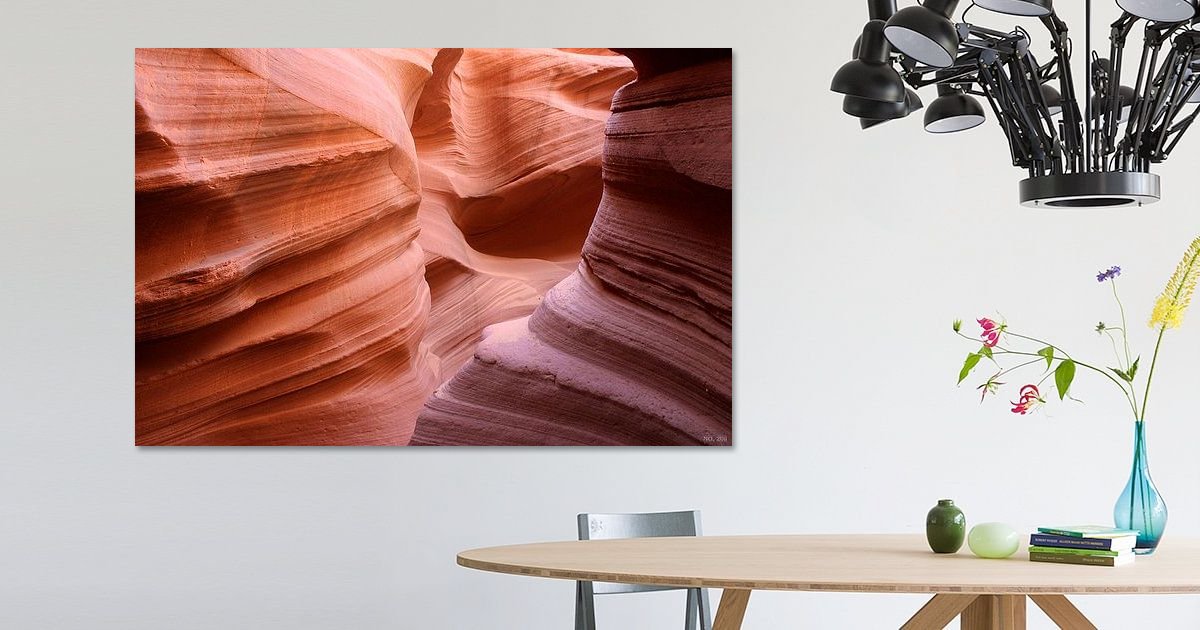 de geheimen van de natuur X van Meleah Fotografie op canvas, behang en meer