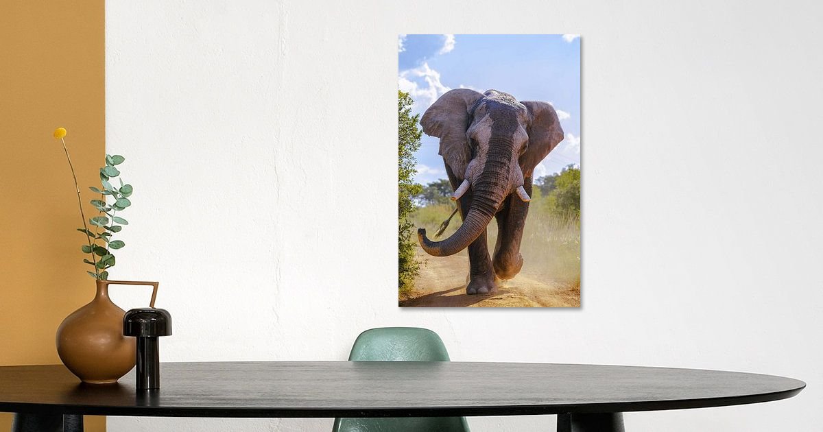 The art of black and white in nature by Levi Van den Berg on canvas ...