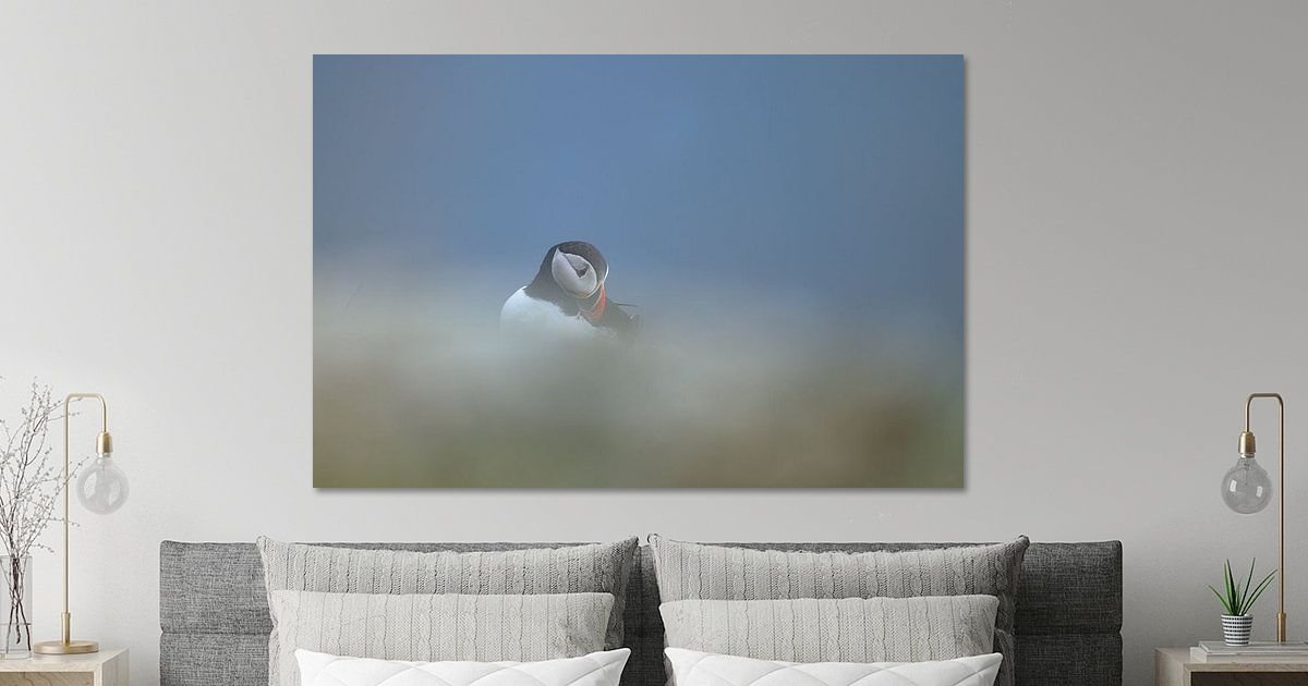 Puffin in de wolken van Larissa Rand op canvas, behang en meer