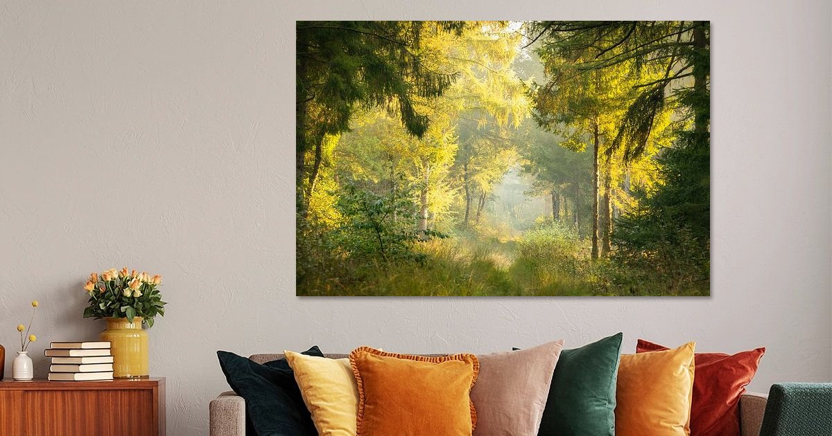 Een mistig bijna spookachtig paadje in het bos van KB Design ...