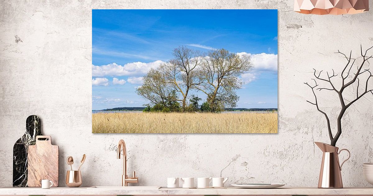 Landschap aan het Achterwasser bij Warthe op het eiland Usedom van Rico ...