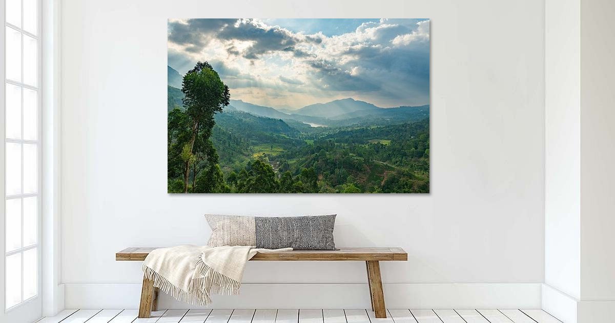 Theeplantages Sri Lanka van Lex van Doorn op canvas, behang en meer