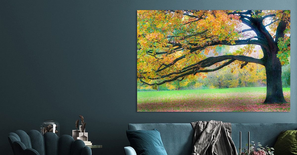 Colourful deciduous tree (with oil painting effect) by Flatfield on ...