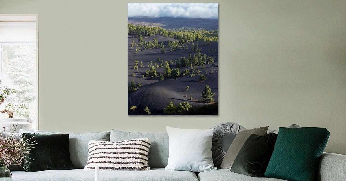 La Palma van Bob Vandenberg op canvas, behang en meer