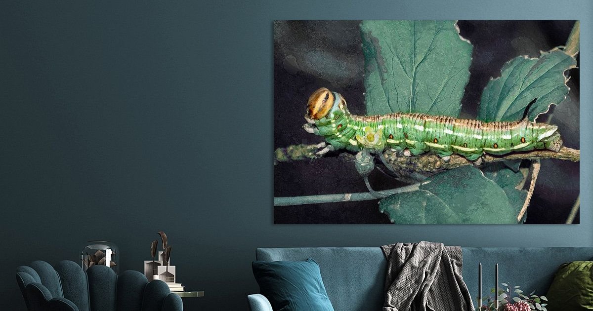 De grote groene rups: van tak tot kunstwerk van Studio Mirabelle op ...