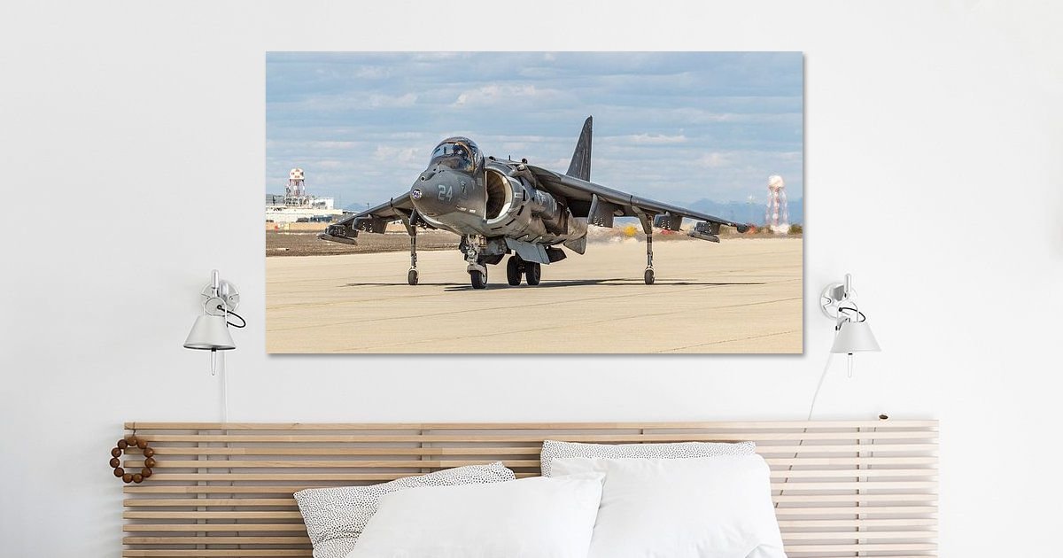 McDonnell Douglas AV-8B Harrier of the U.S. Marines. by Jaap van den ...