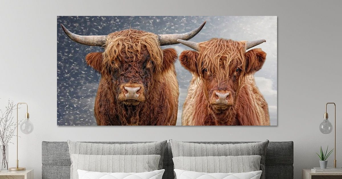Order Beautiful Scottish Highlanders Art as Wall Art | Art Heroes