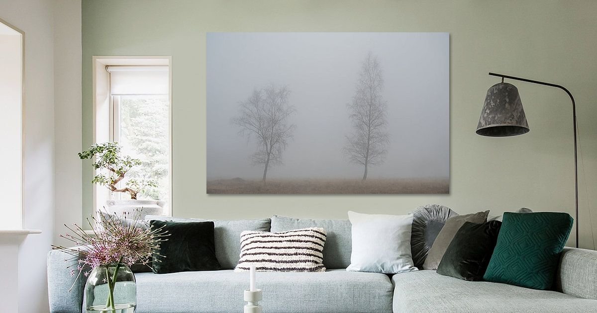 Fine Art landschap van twee berken in de mist van John van de Gazelle ...