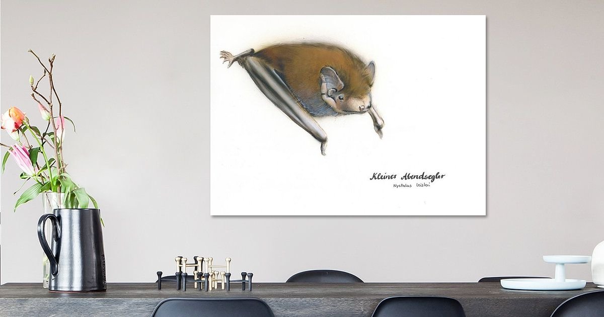 The swift flyer - the lesser noctule (Nyctalus leisleri) by ...