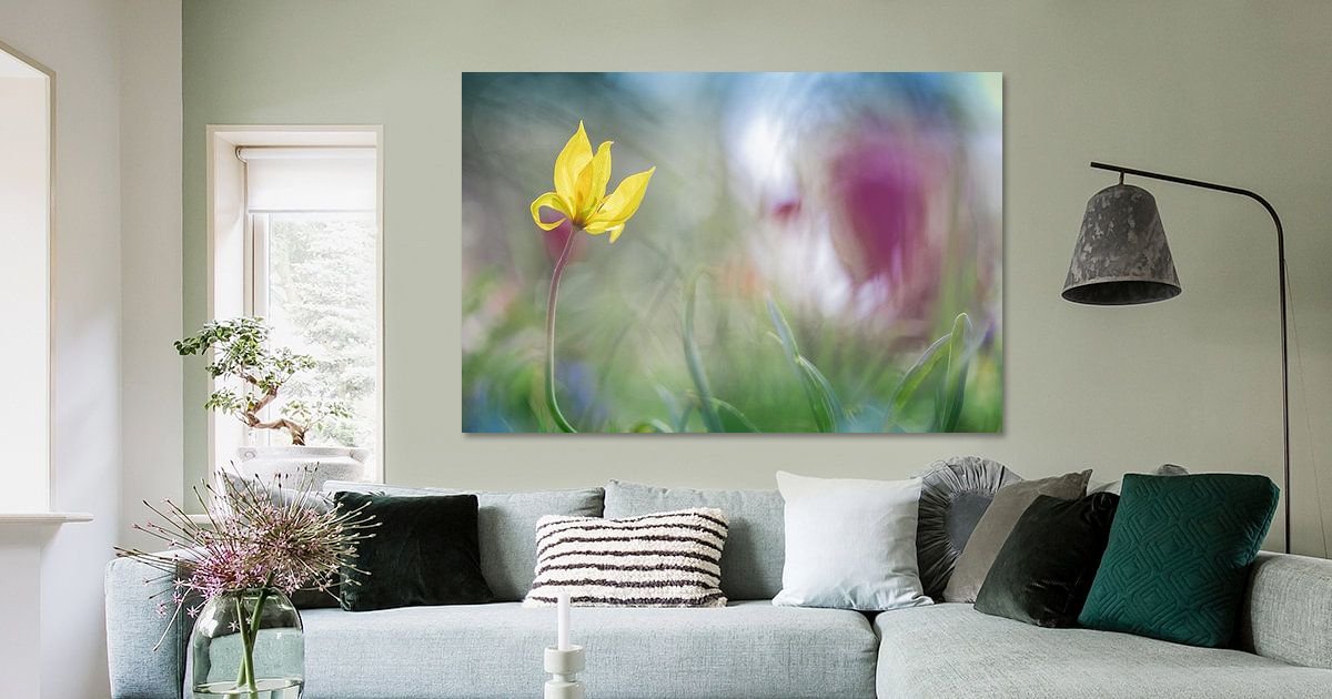 Gele bostulp tussen andere bloemen van Patricia van Kuik op canvas ...