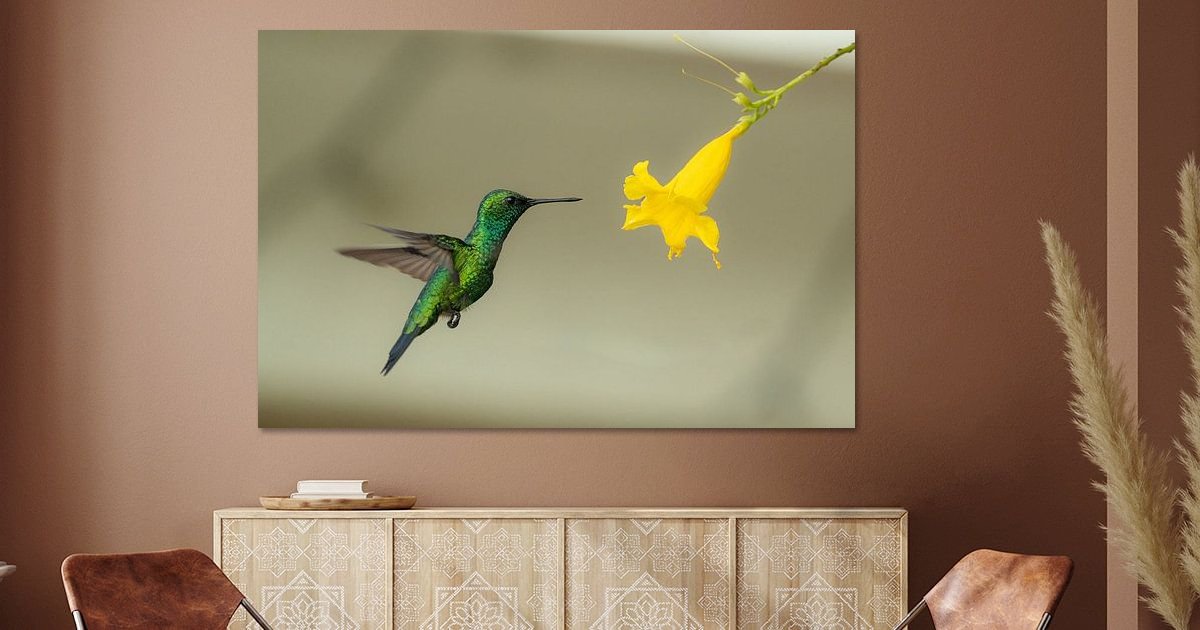 een flits van smaragd, het betoverende moment waarop een kolibri zweeft ...