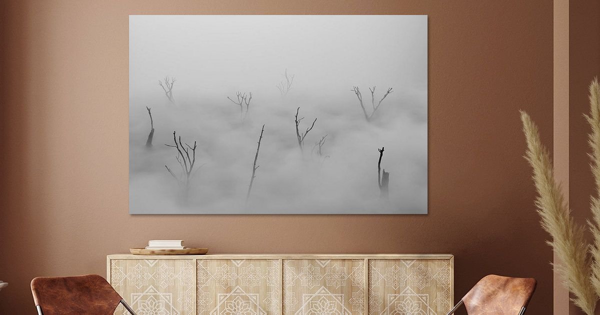 Dode bomen rijzen op boven de sluier van mist van Besa Art op canvas ...