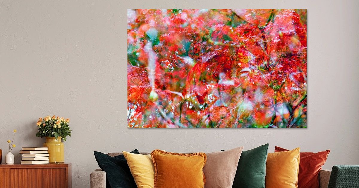 Rood blad van de Japanse Esdoorn (Oh Happy Day!) van Paula van den ...