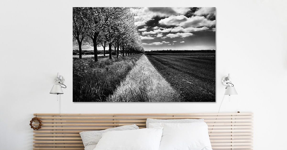 Weglopend perspectief, boeren land met bomen en wolkenlucht van Remco ...