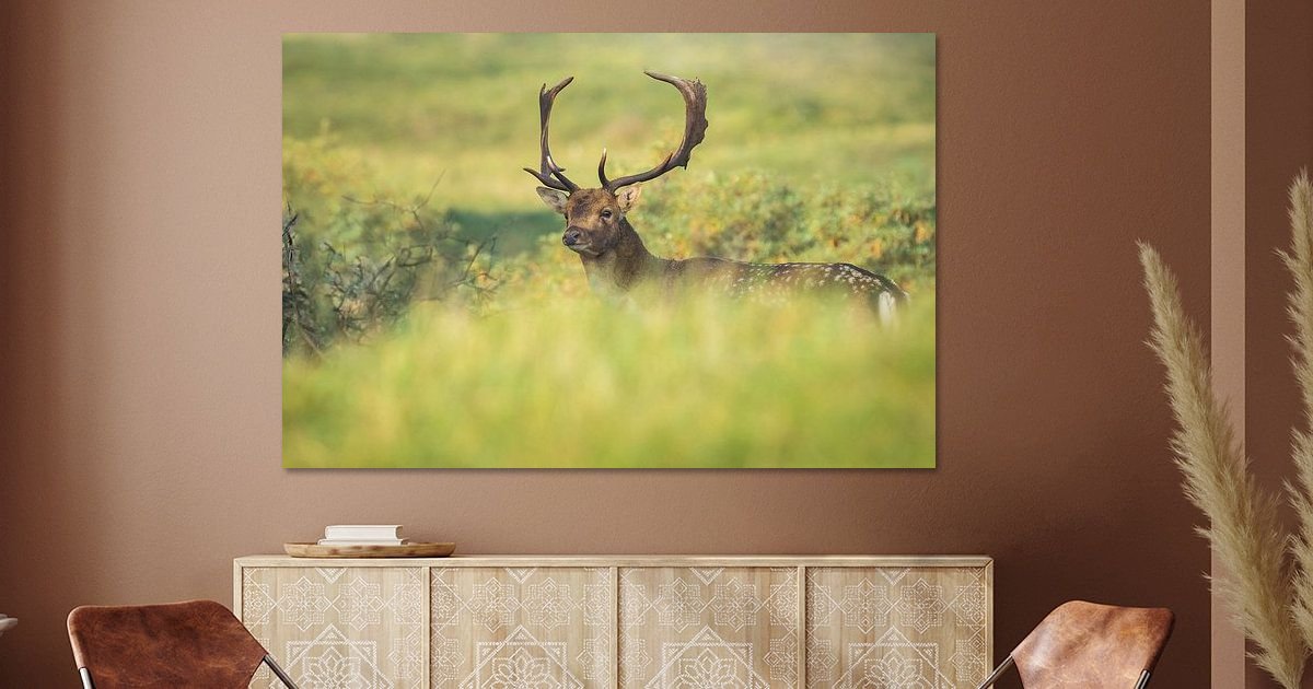 In het gras... van Sander Meertins op canvas, behang en meer