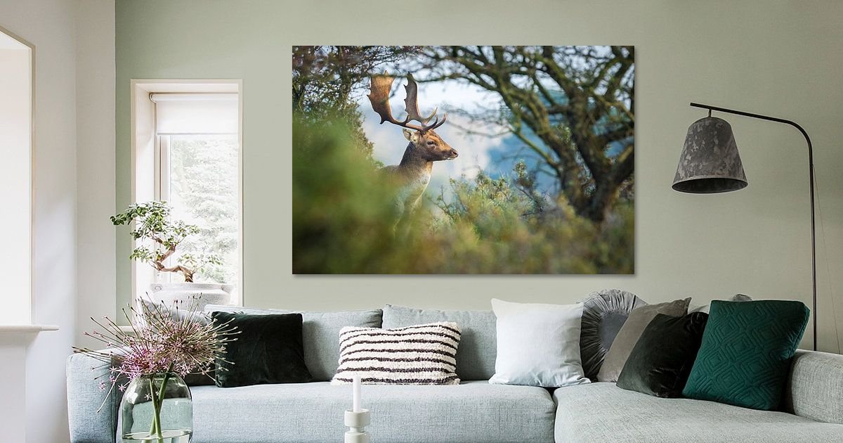 Portret van Sander Meertins op canvas, behang en meer