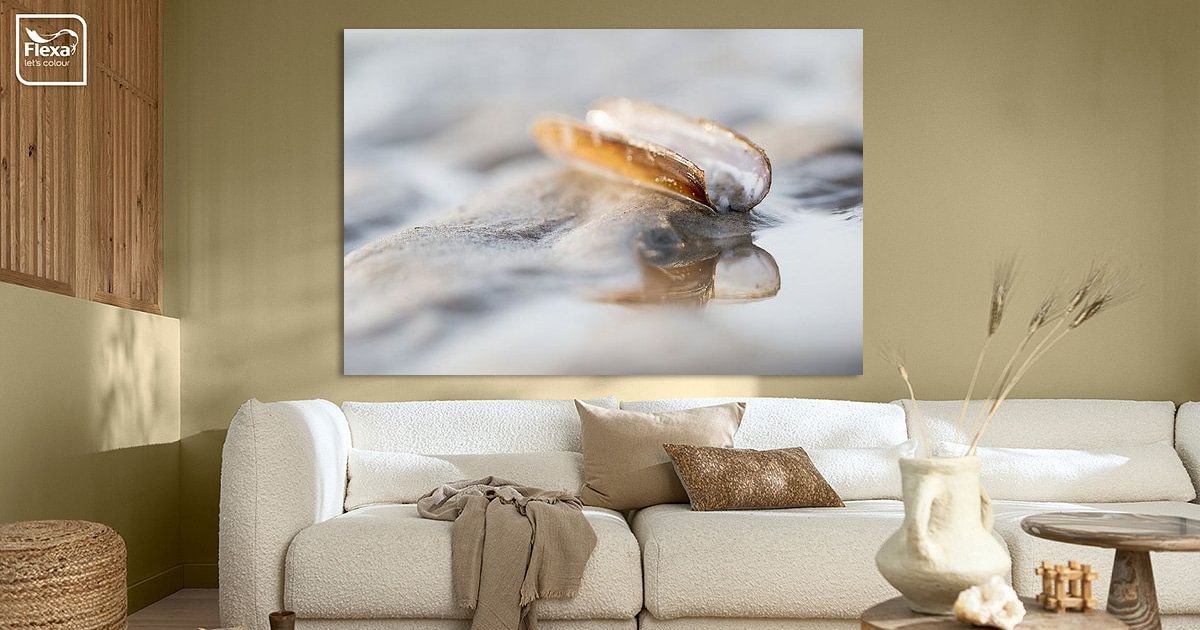 Scheermes schelp op het strand van Judith Borremans op canvas, behang ...