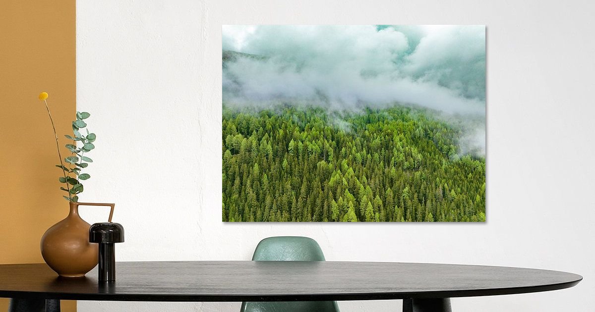 Boslandschap met pijnbomen op een berg in de Alpen van Sjoerd van der ...