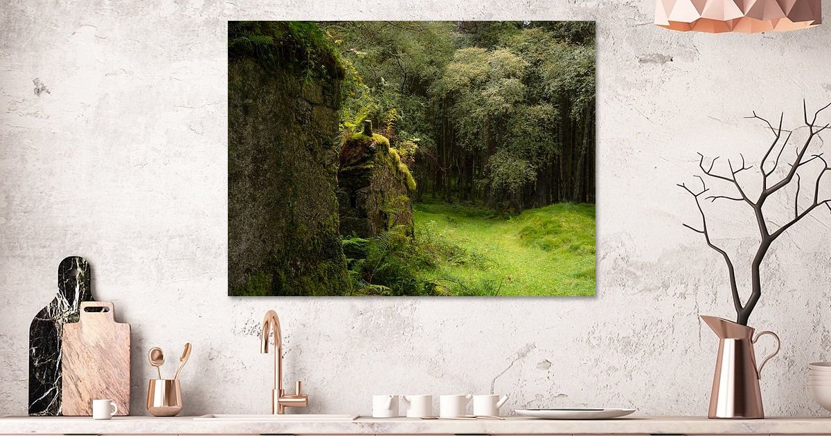 Ruïnes bij Rowchoish Bothy van Willemijn Wolthaus op canvas, behang en meer