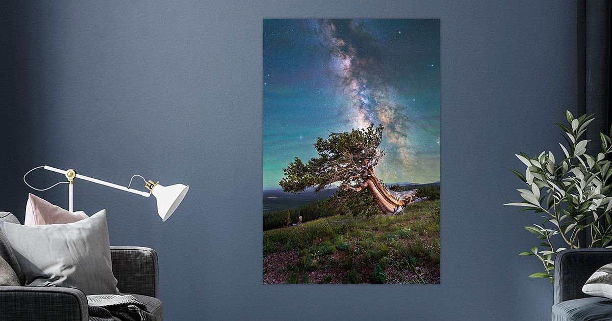 Colorado Nightscape Milky Way Fine Art | Ancient Bristlecone Pine Tree ...