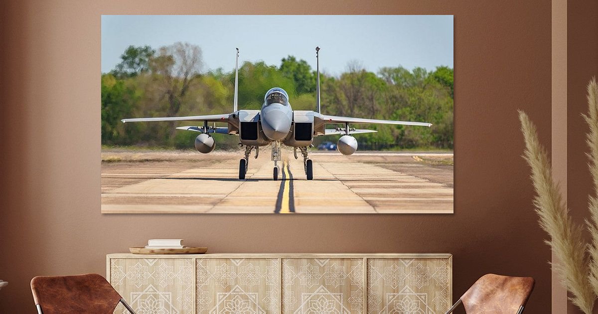Bayou Militia McDonnell Douglas F-15C Eagle. van Jaap van den Berg op ...