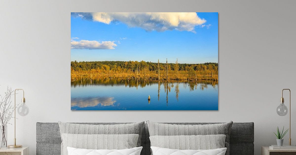 Schwenninger Moos rivierenlandschap in Baden-Württemberg van BlattArt ...