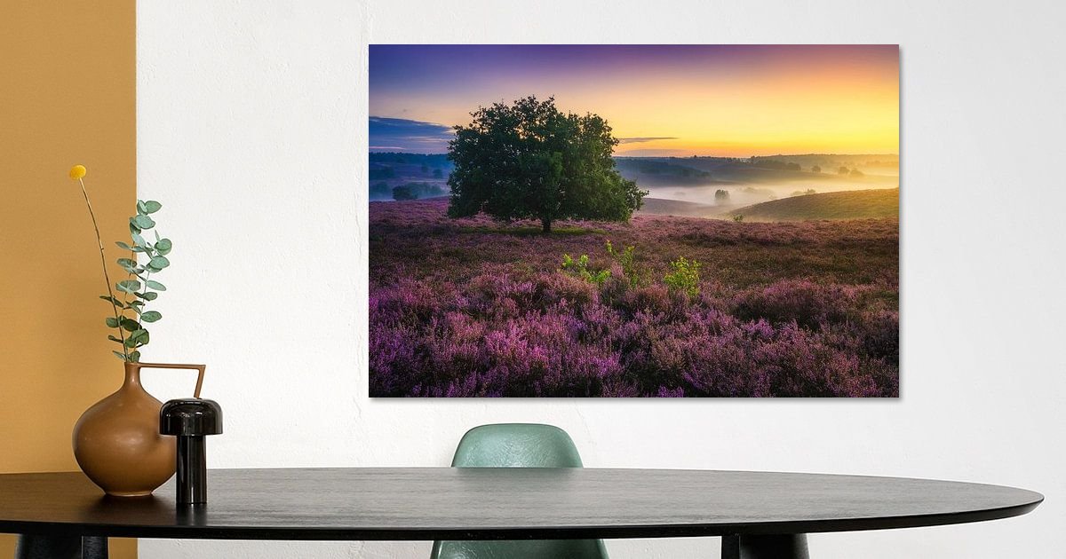 Buy Beautiful Wall Art for Your Waiting room | Art Heroes.