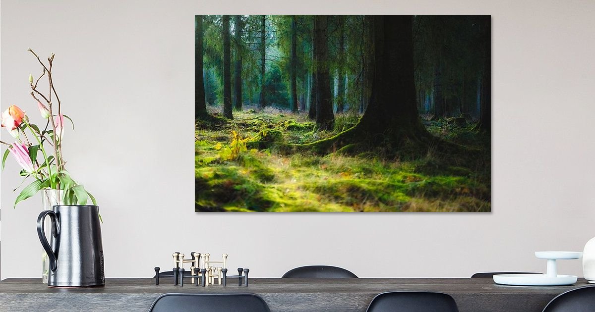 Een naaldbos in het Duitse Natuurpark Eifel van Rik Verslype op canvas ...