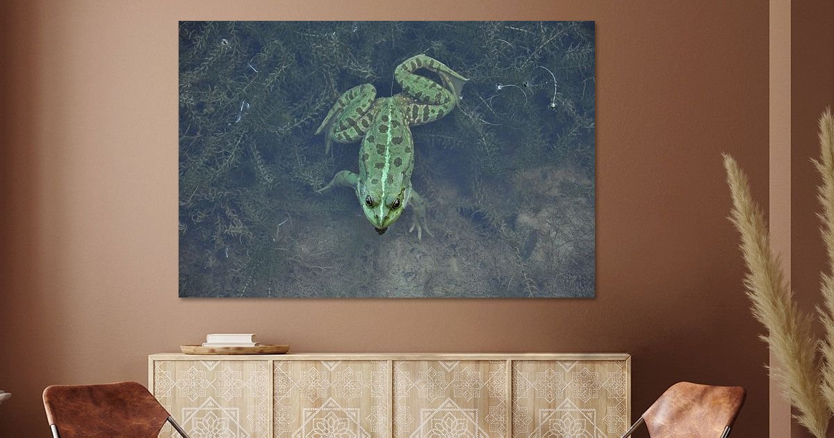 Mooie Middelste groene kikker kunst op canvas, behang en meer