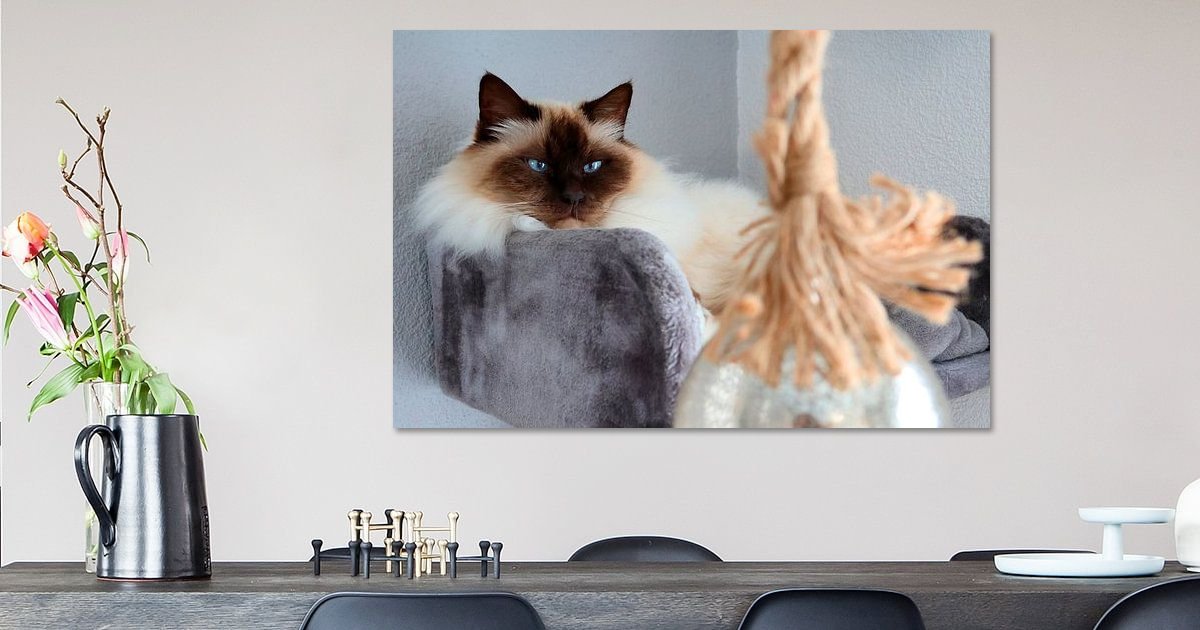 Mooie Heilige Birmaan kunst op canvas, behang en meer