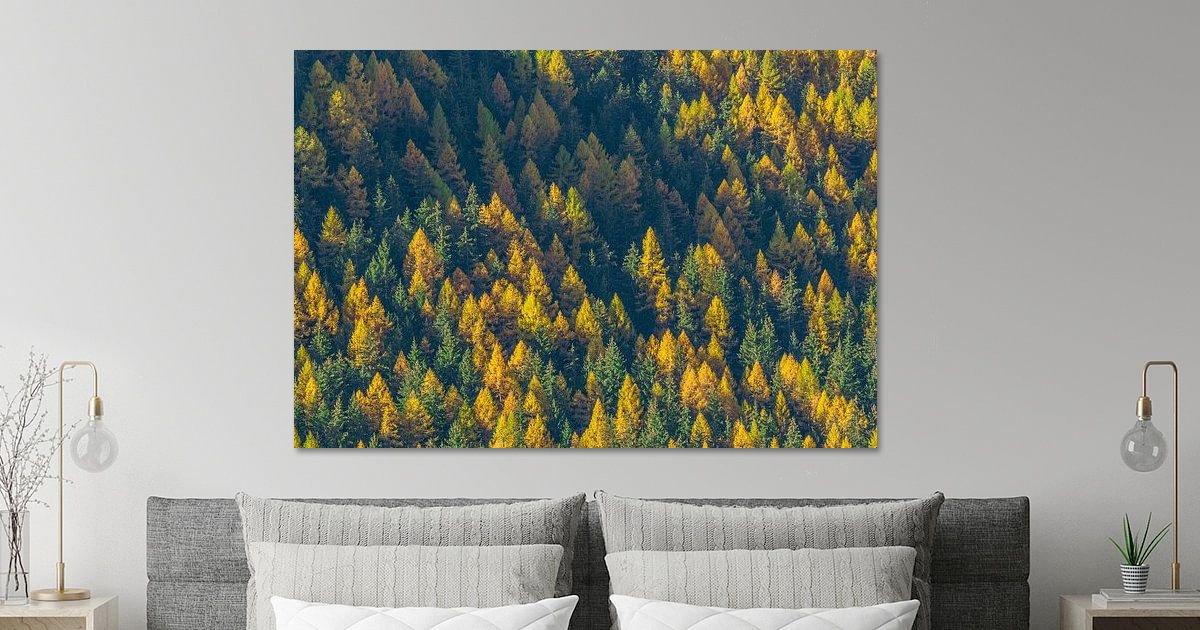 Order Beautiful Forest Art as Wall Art | Art Heroes