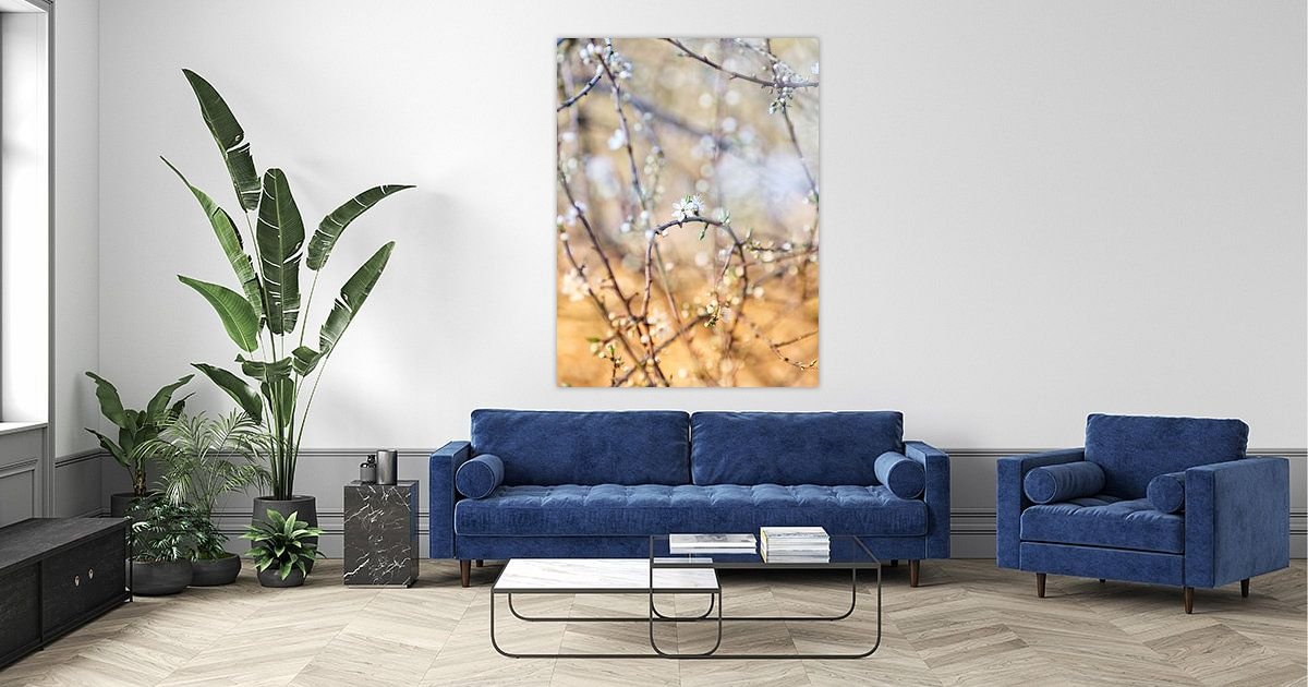 De pruim met doorns (Prunus spinosa) van Deborah Ruijper-Scholtus op ...