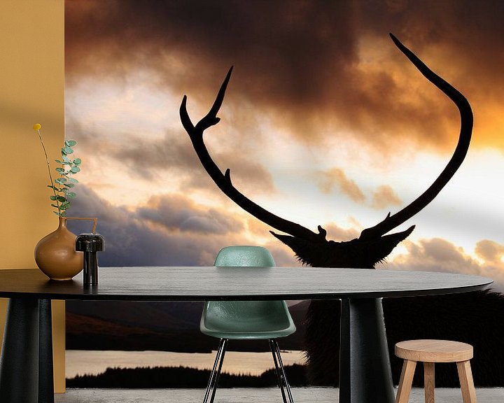 Highland Stag van Graham Forrester op canvas, behang en meer