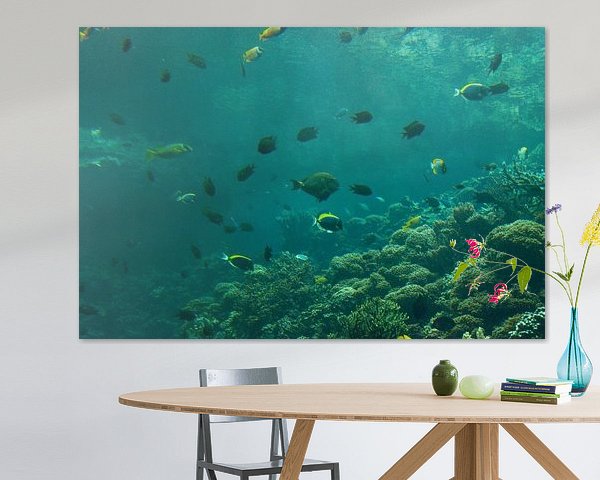 Prints uit de collectie van Floris de Groot