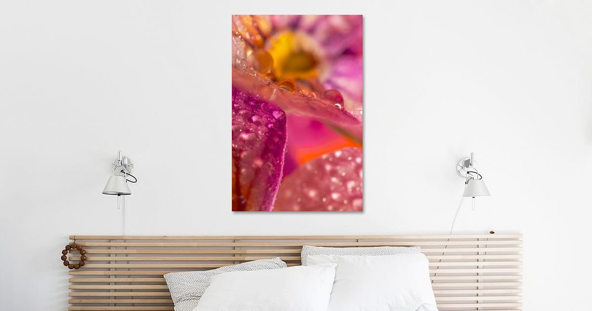 Abstract zomers gevoel: Druppels rusten op blaadjes van Marjolijn van ...
