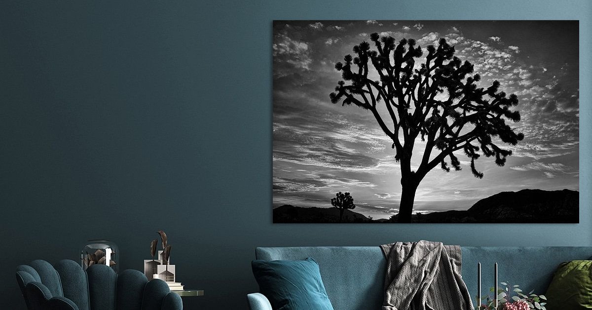 Joshua Tree van Peter Bongers op canvas, behang en meer