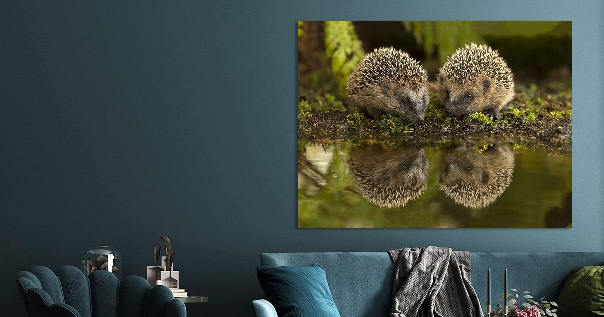 Egels aan de waterrand van Jan Dolfing op canvas, behang en meer