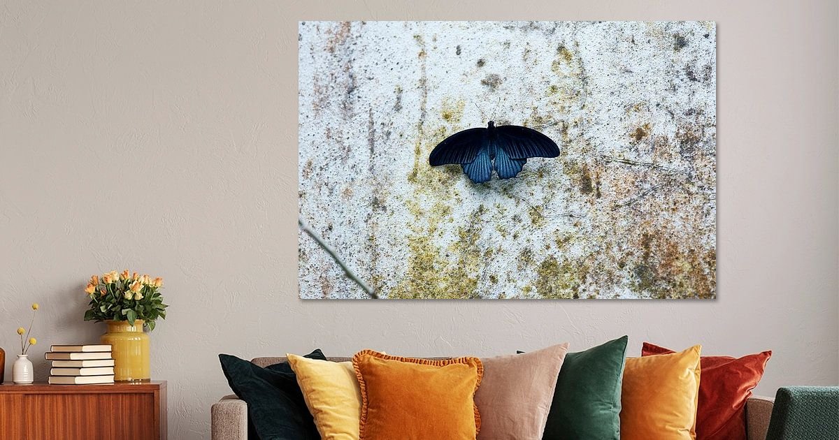 Blue butterfly van Anne Koop op canvas, behang en meer